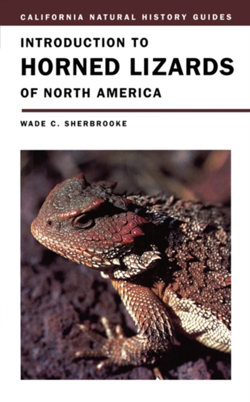 Introduction to Horned Lizards of North America af Wade C. Sherbrooke (Paperback)